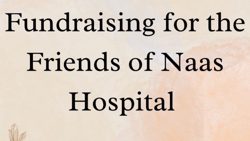 Fundraiser by Katie Dunne : Friends of Naas Hospital
