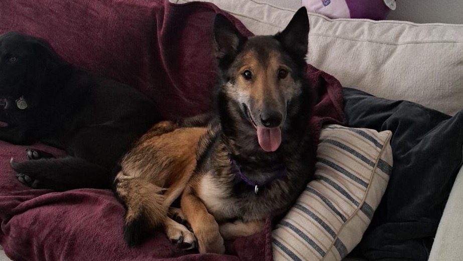 Fundraiser by Brandy White : Support Heidi's Journey to Health