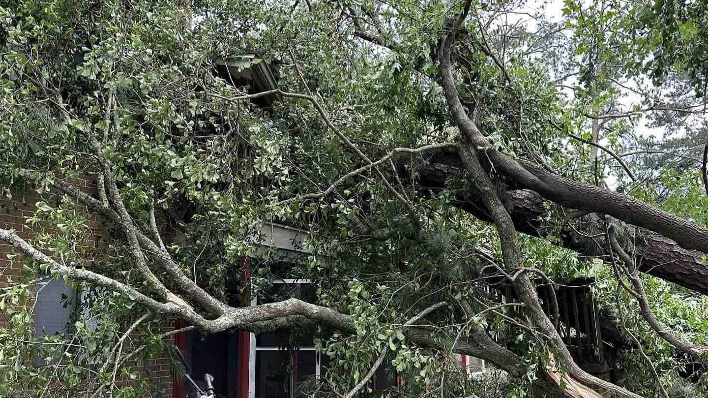 Fundraiser for Katherine Helms by Allison Biskupiak : Home Destroyed ...