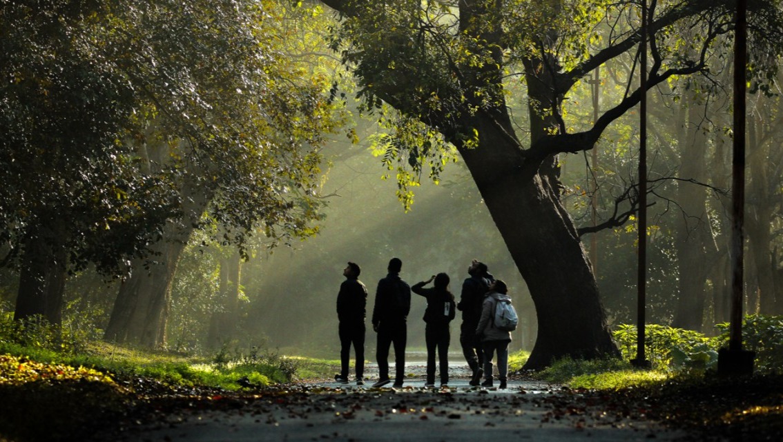 Fundraiser by poppy lewis brown : Nature Culture Connection Camp Experience