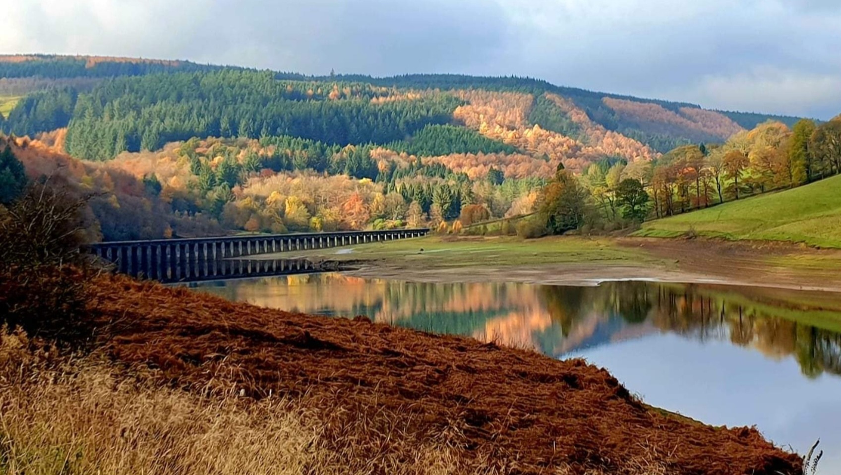 Fundraiser for Jane Beardsley by Anthony Emery : Pauls Pit Stop