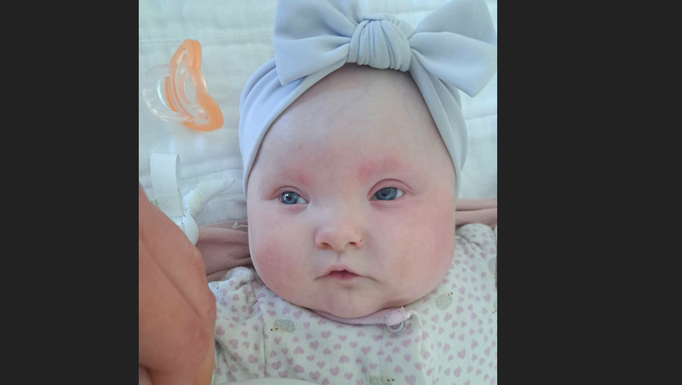 Fundraiser for Jamie Marcus by Shannan Dorman : Help Celebrate Avaya's Life