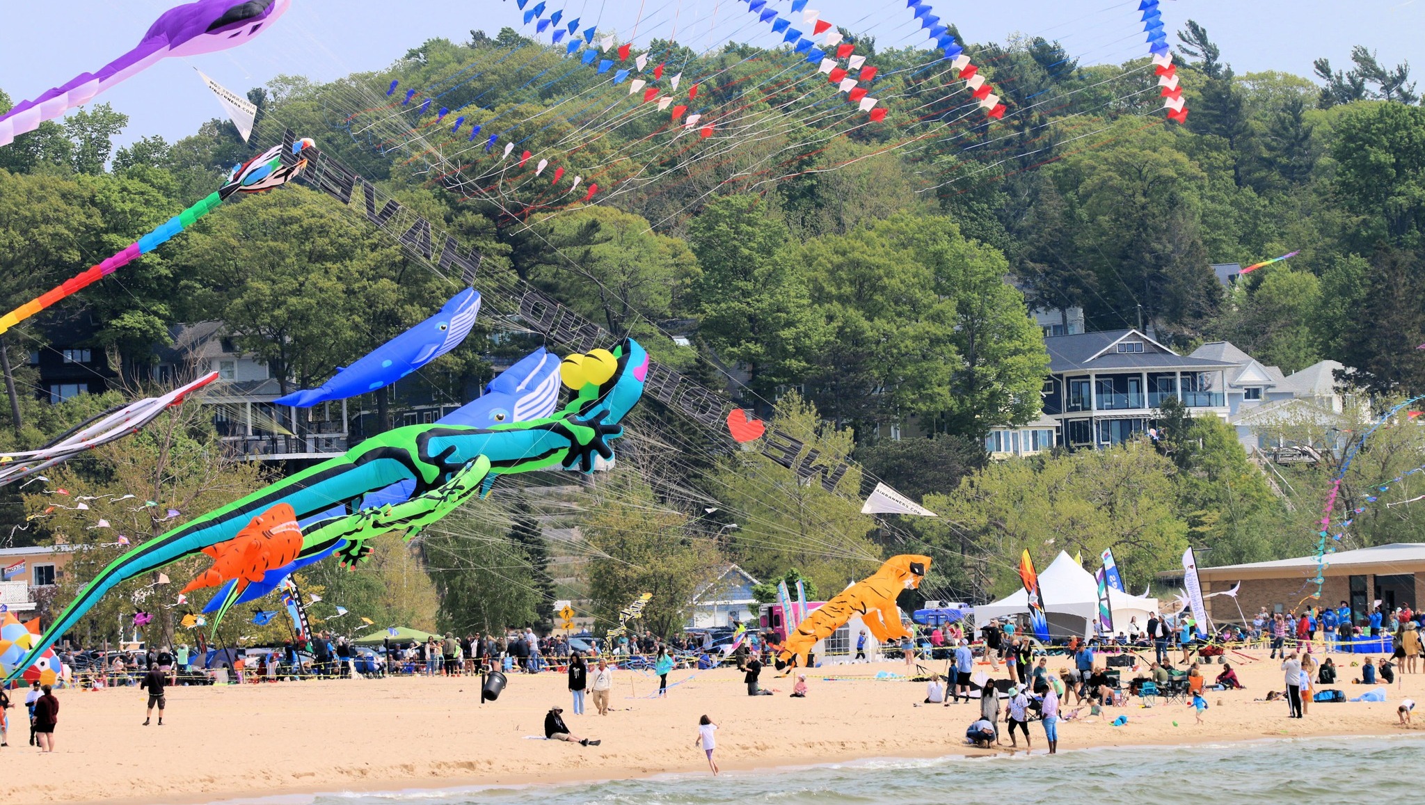 Fundraiser by Kite Festival at Grand Haven : Keep Bringing the Kite ...