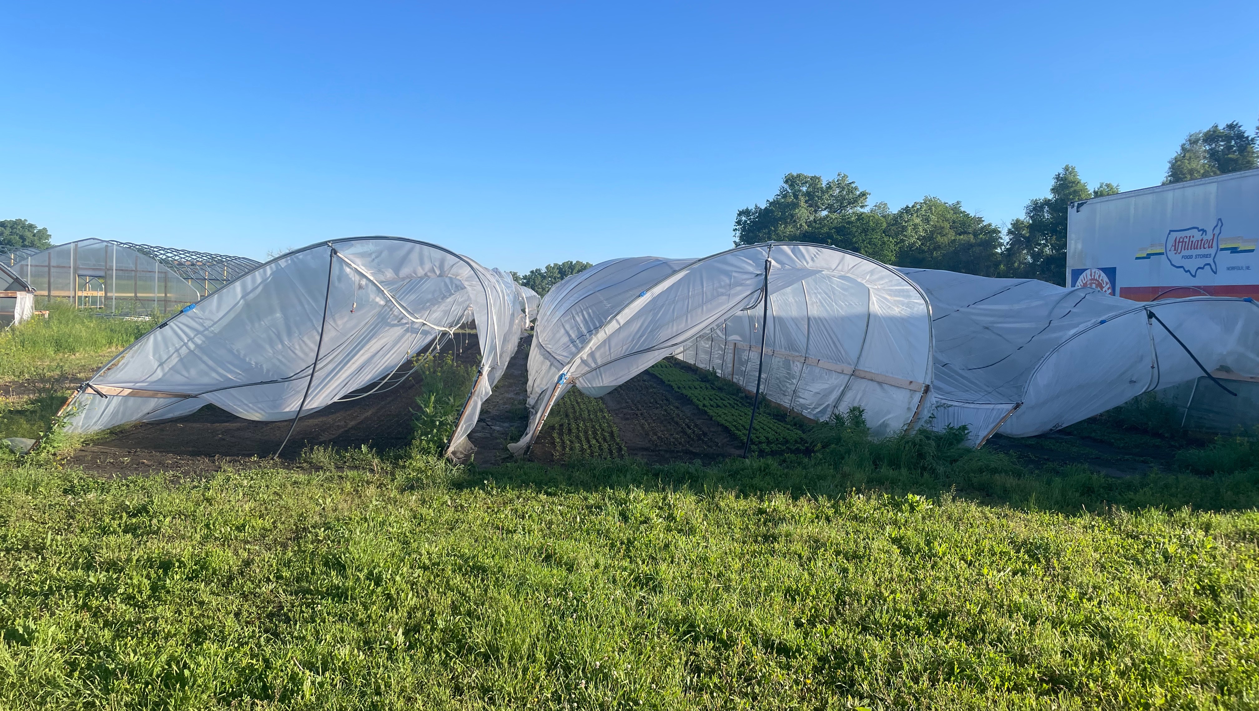 Fundraiser by Erin Roh : Support Abie Vegetable People's Greenhouse ...