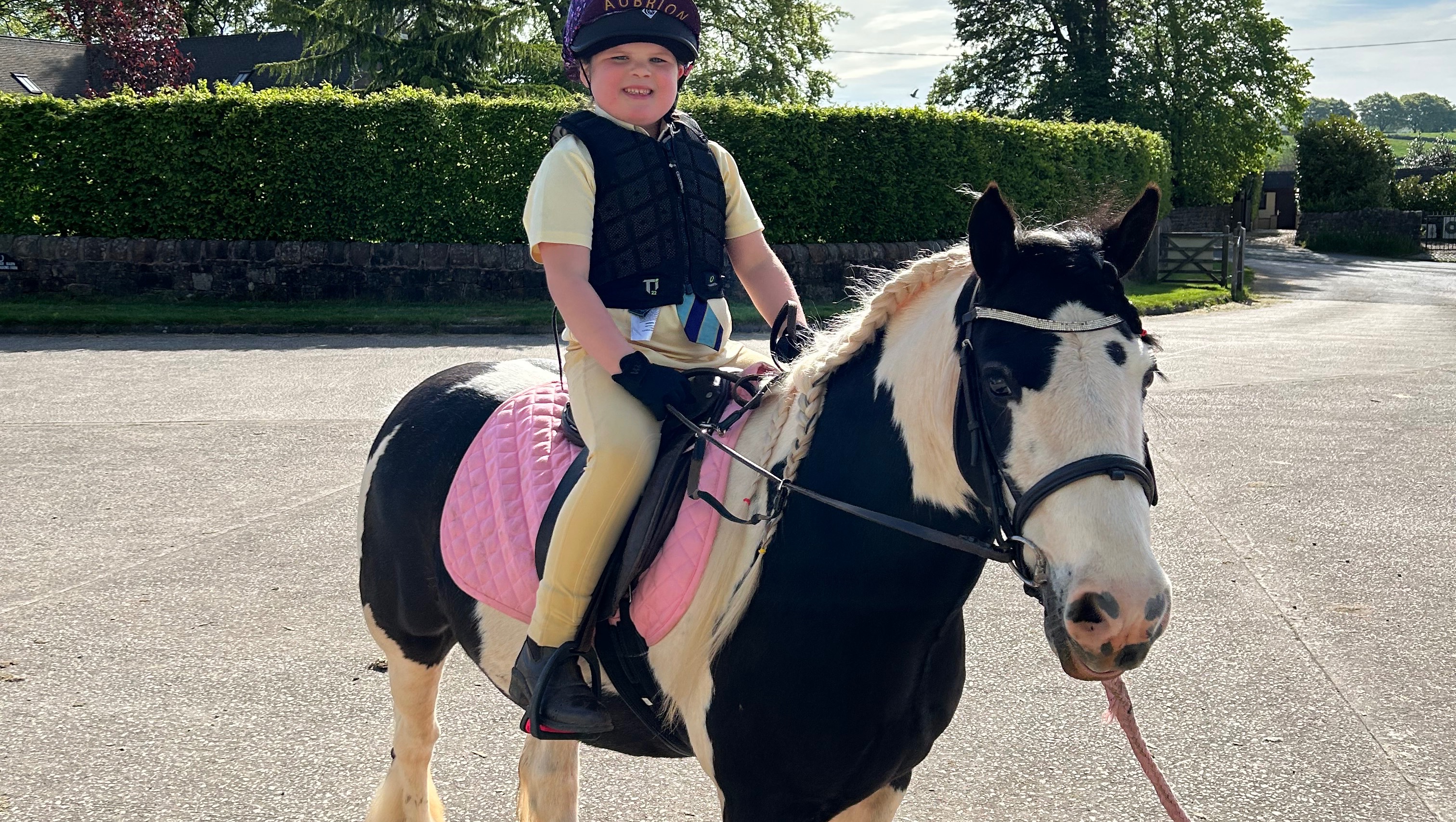 Fundraiser by Rachel Hulse : Let’s fix Heidi Pie for Dottie