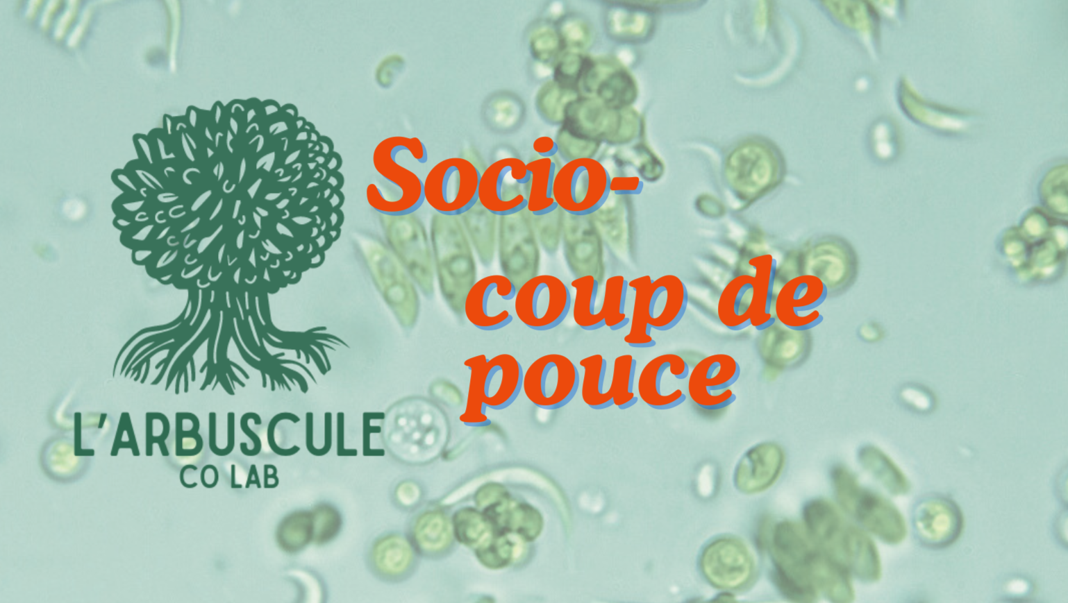 Fundraiser by Maude Gélinas-Roy : Lancement de L'Arbuscule