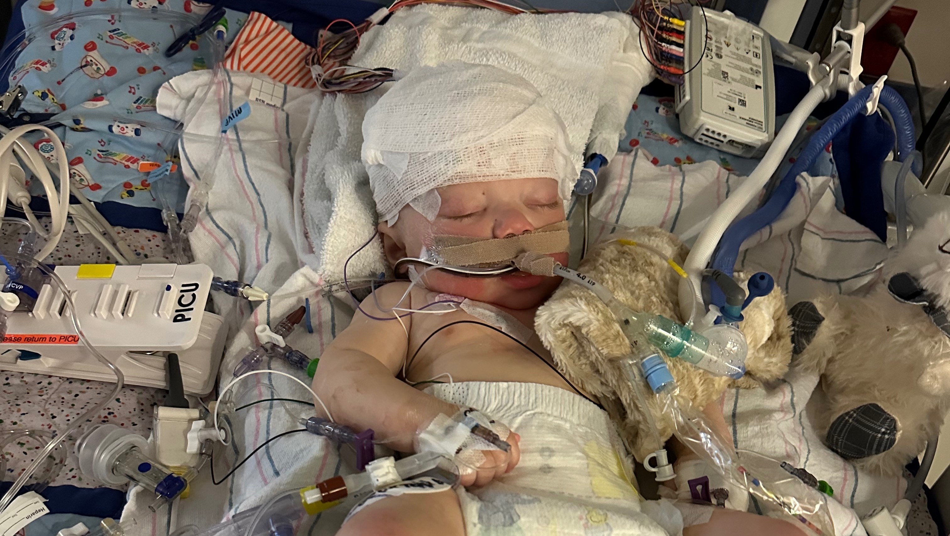 Fundraiser for Paris Car by Amanda Cook : Help Paris Stay by Drexton's Side