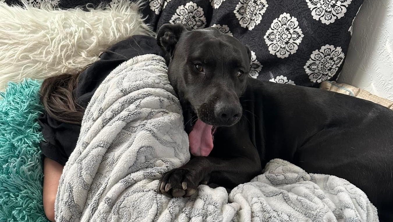 Fundraiser by Deyana Connolly : Support Barry's Family in Their Time of Grief