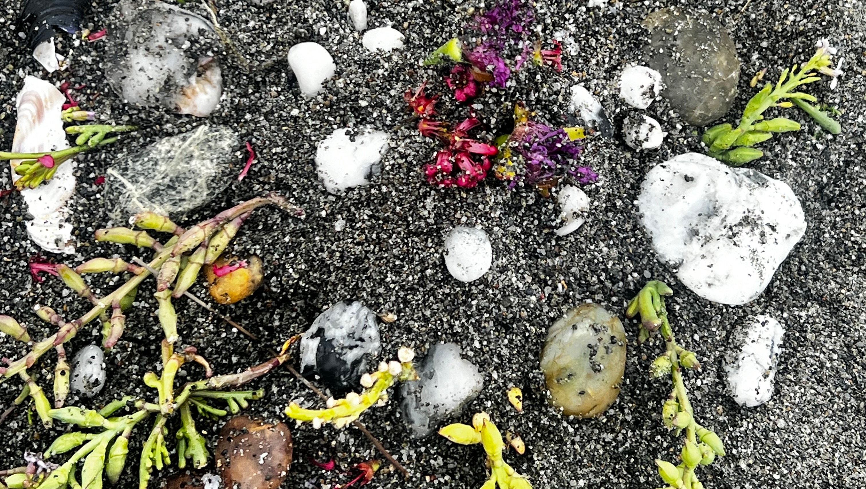 Fundraiser by Madison Gordon : Thank you