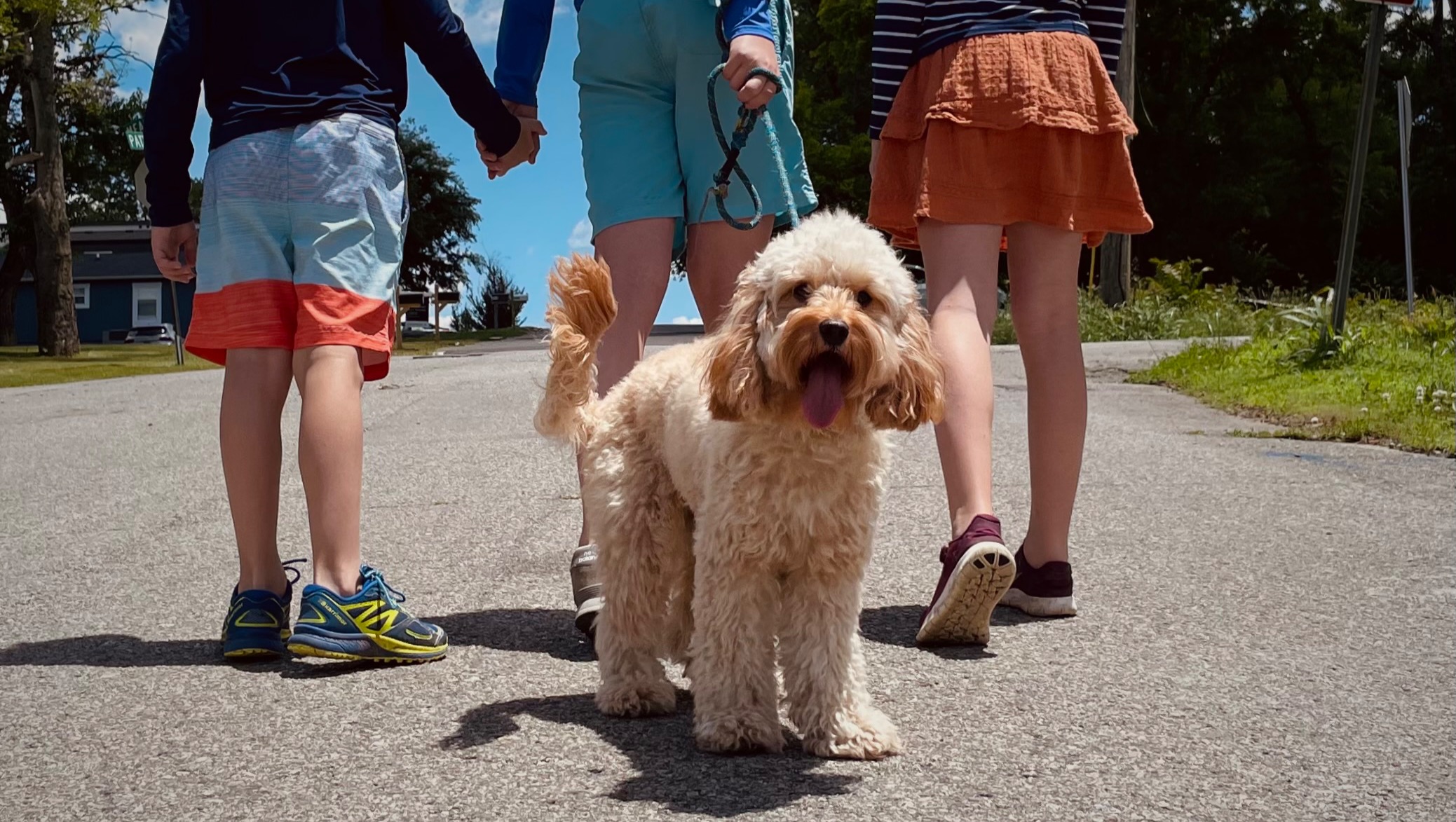 Fundraiser for Jonathan Worsley by Jennifer Jones : Help get Alfie to ...