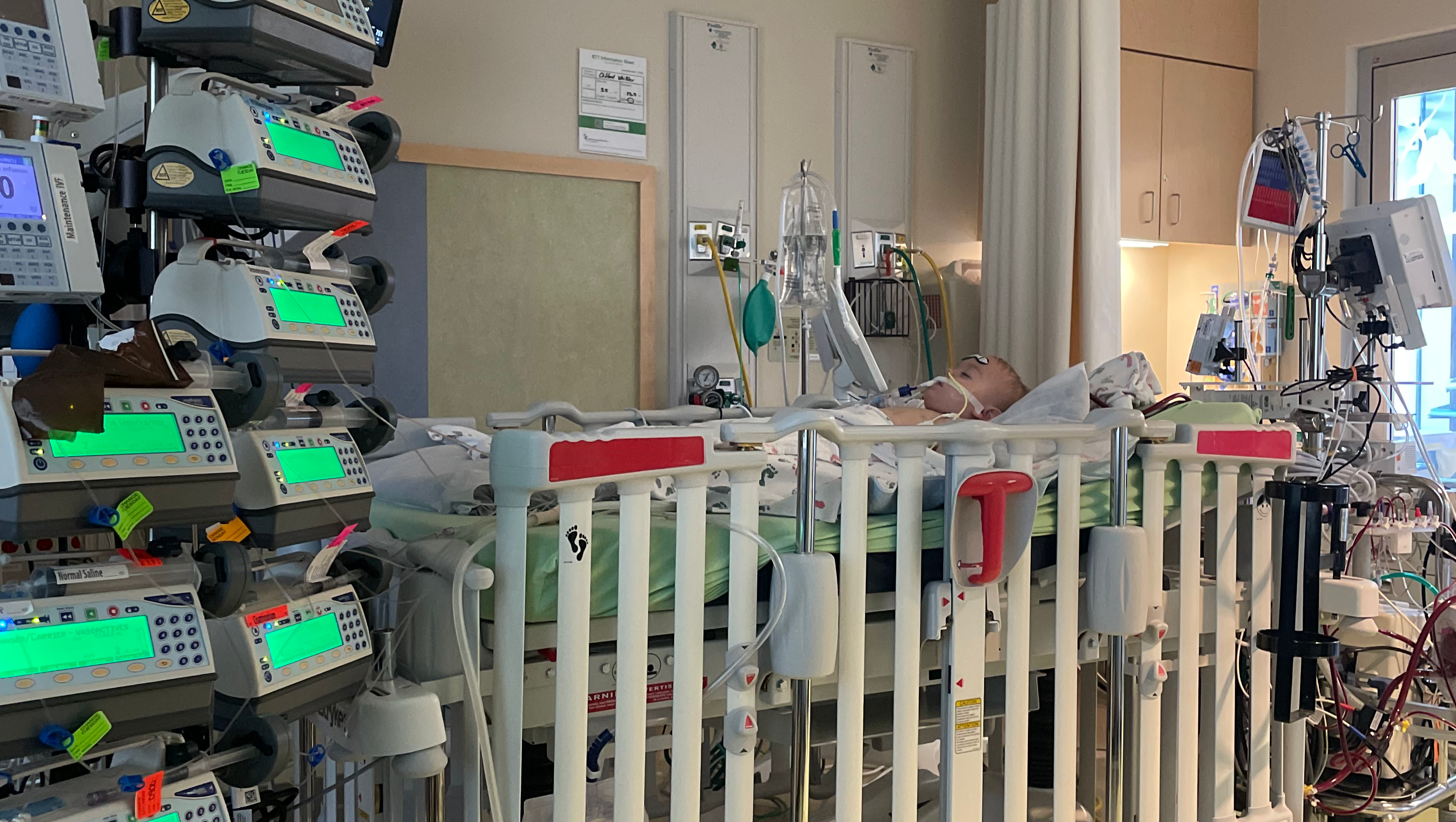 Fundraiser for AUDREY BARTUS by Erica Lindberg : Support for Whittier ...