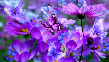 Fundraiser for James Marks by Donna Waxer : Honoring Gabriela: Help ...