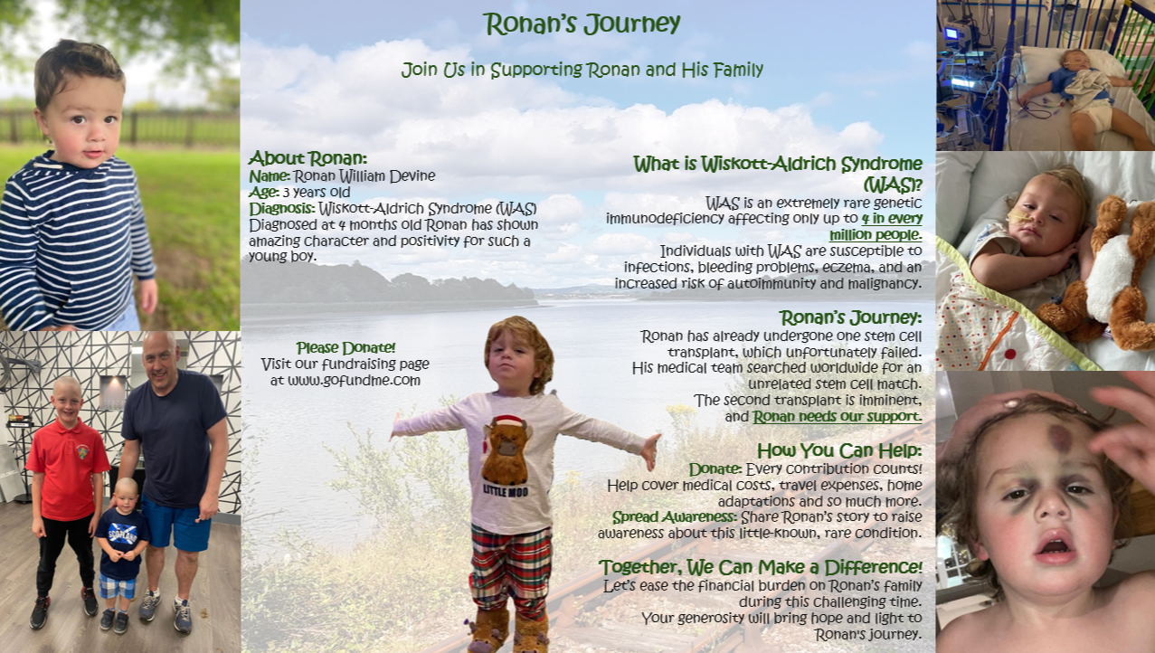 Fundraiser for Emily Devine by Victoria Power : Ronan's Journey