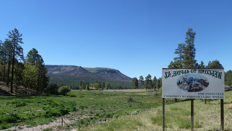 Fundraiser by Gaven King : Boost Brigham Hawkins' Road to Recovery