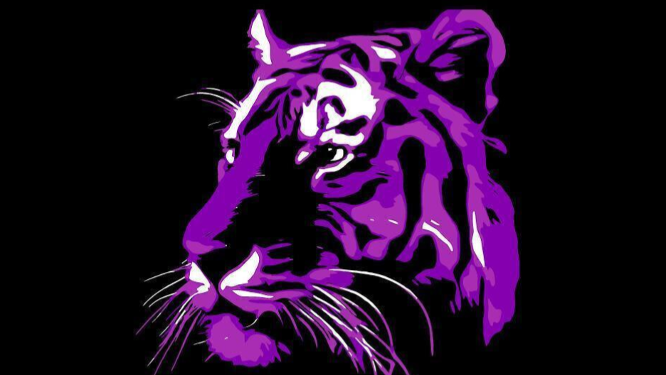 Fundraiser by Patrick Wilsmore : Building The Purple Tiger Foundation