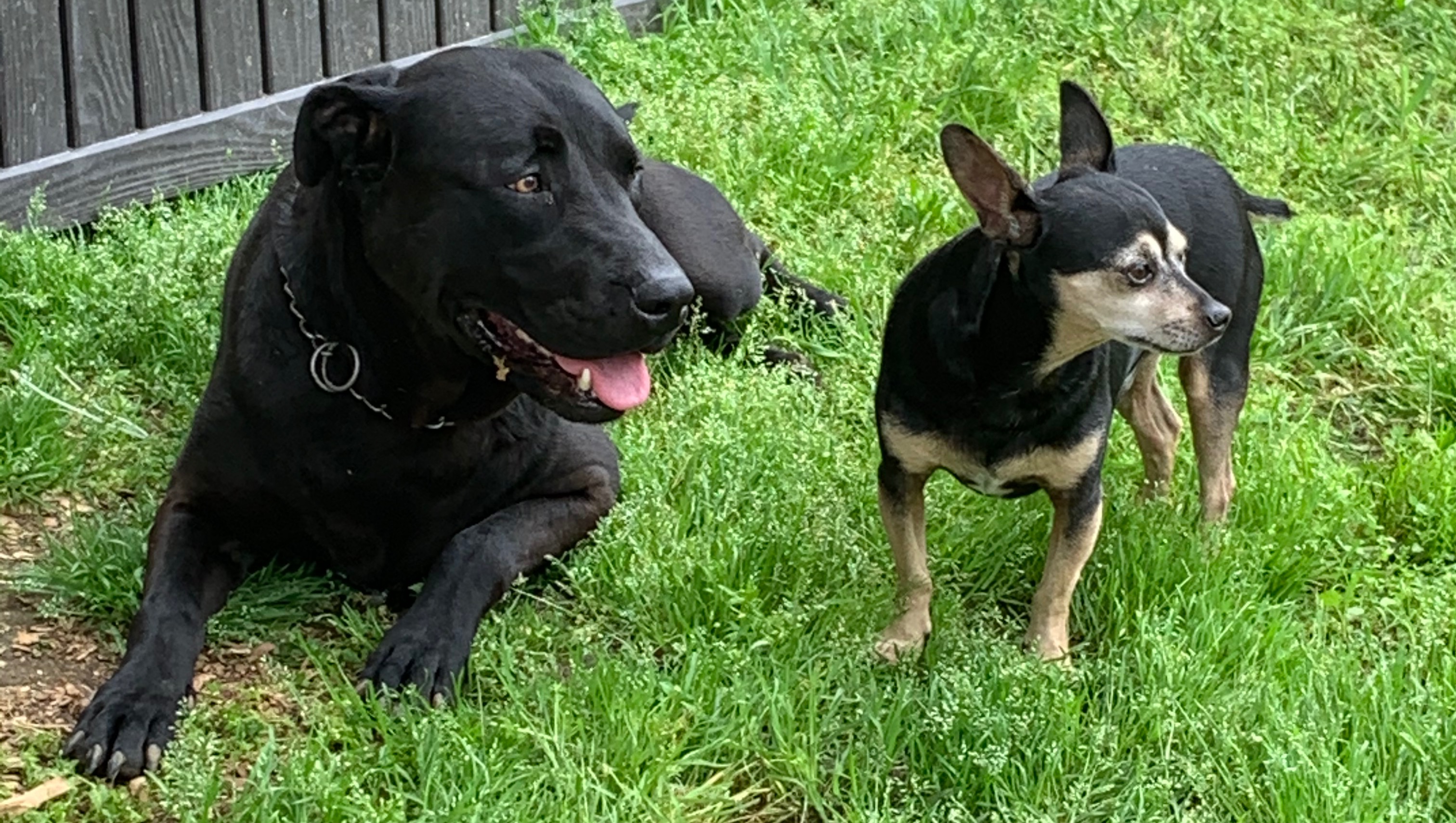 Fundraiser for Sandra Garcia by Braulio Martinez : Join Braulio's ...