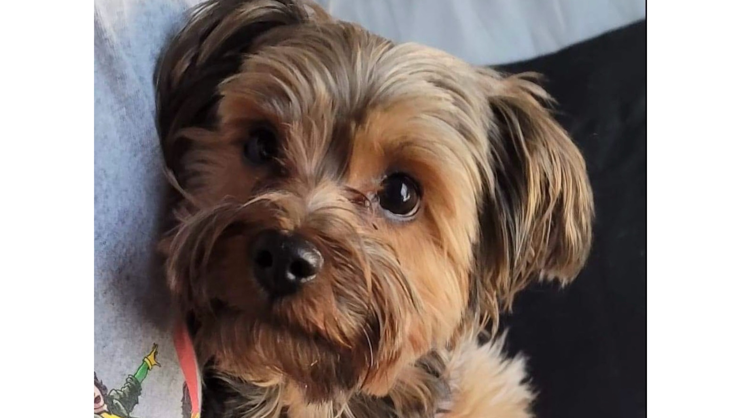 Fundraiser for Michael Marcano by Janet Sanchez : Join the Fight to ...