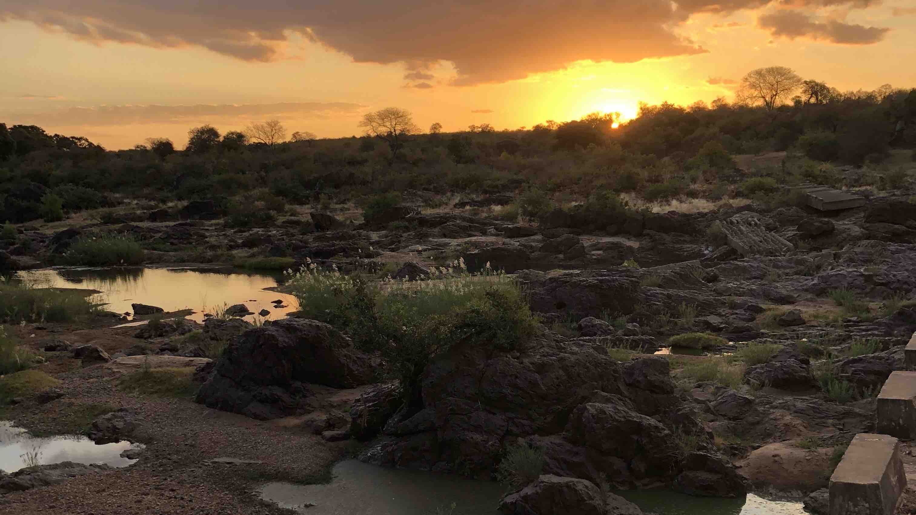 Fundraiser by Nicholas Moore : Help Nick go to Zimbabwe