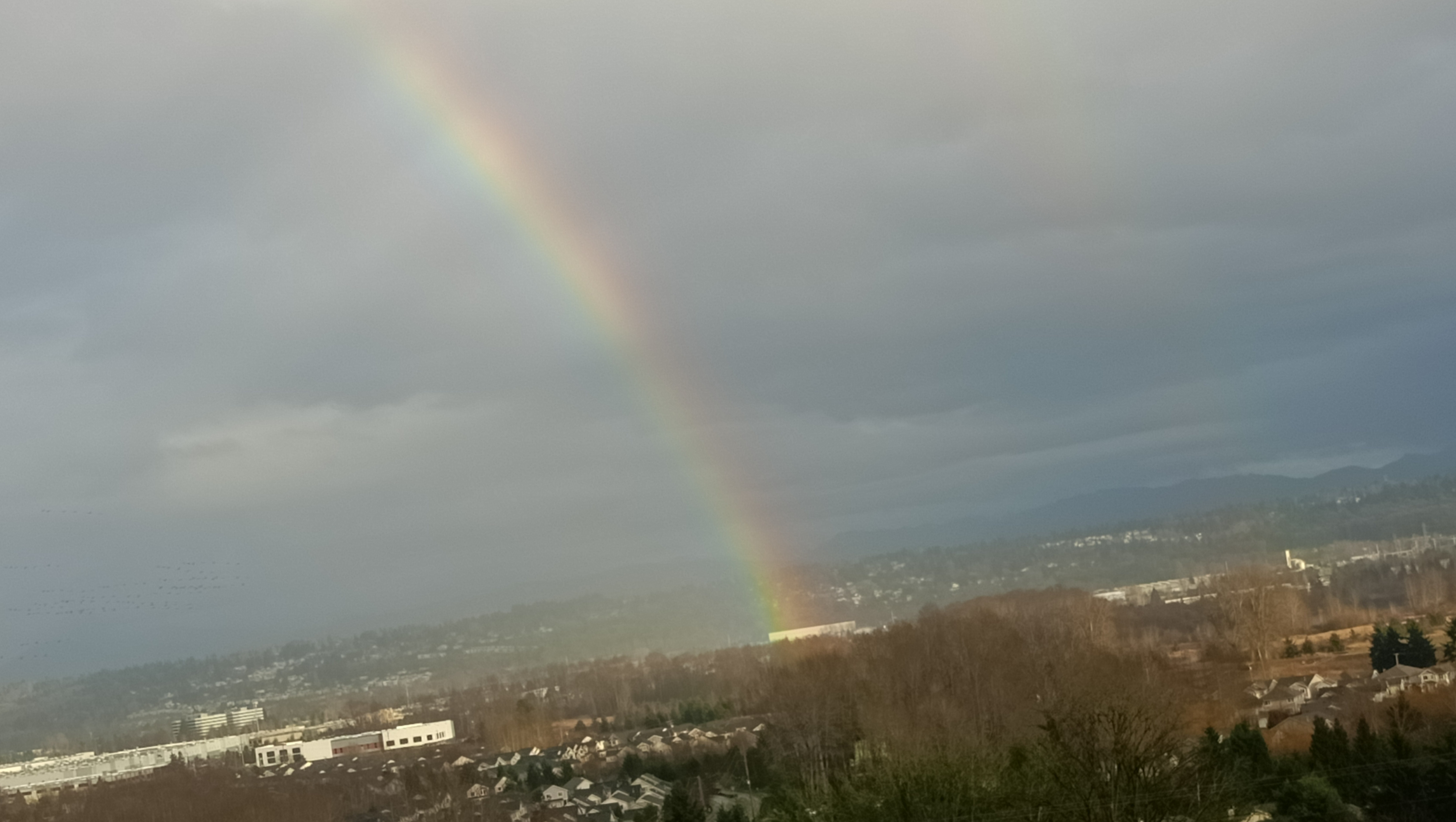 Fundraiser by Shelby Bundy : Support Shelby and Josh's Journey to Stability