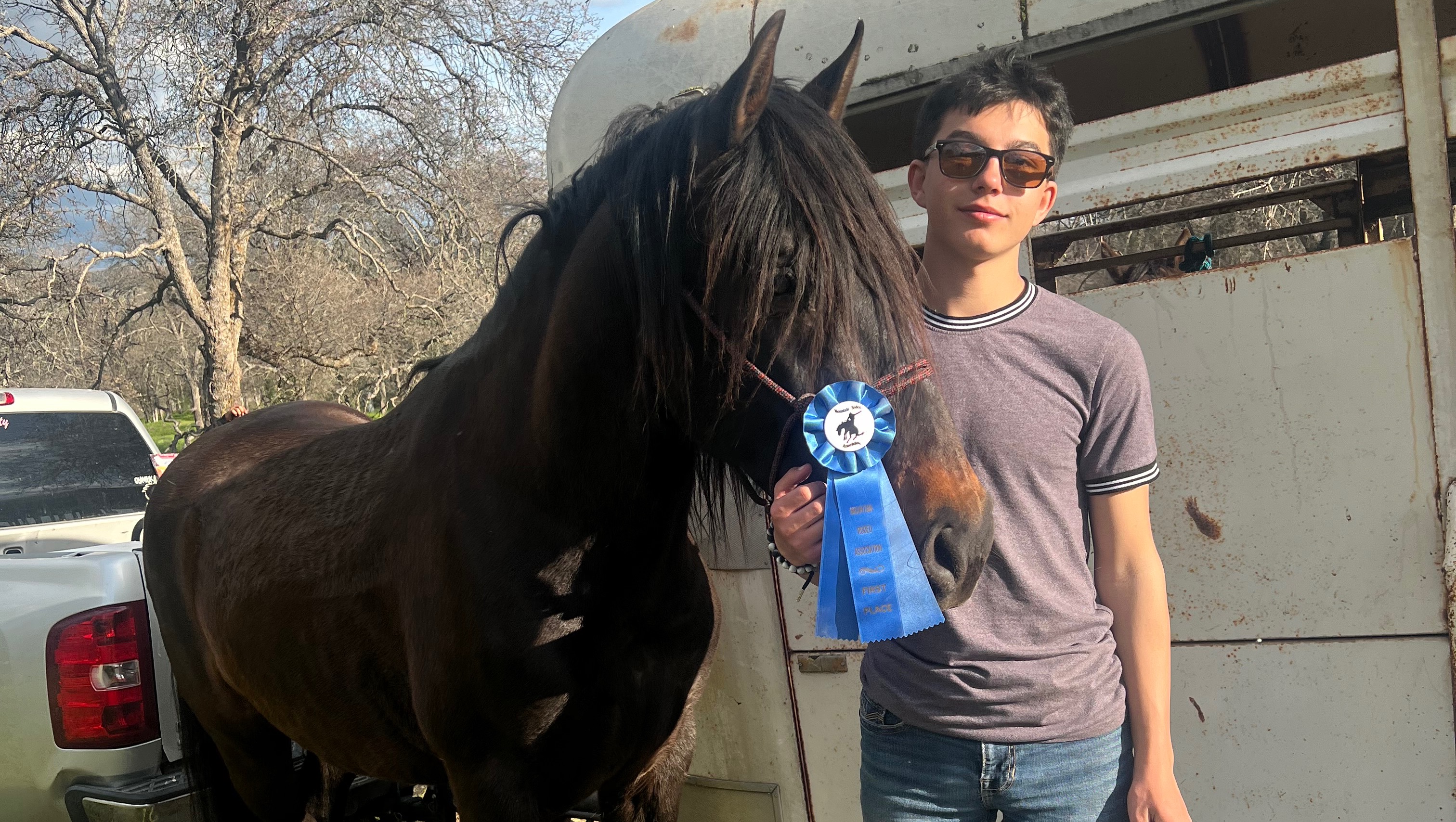 Fundraiser by Denise Haas : Brave horse