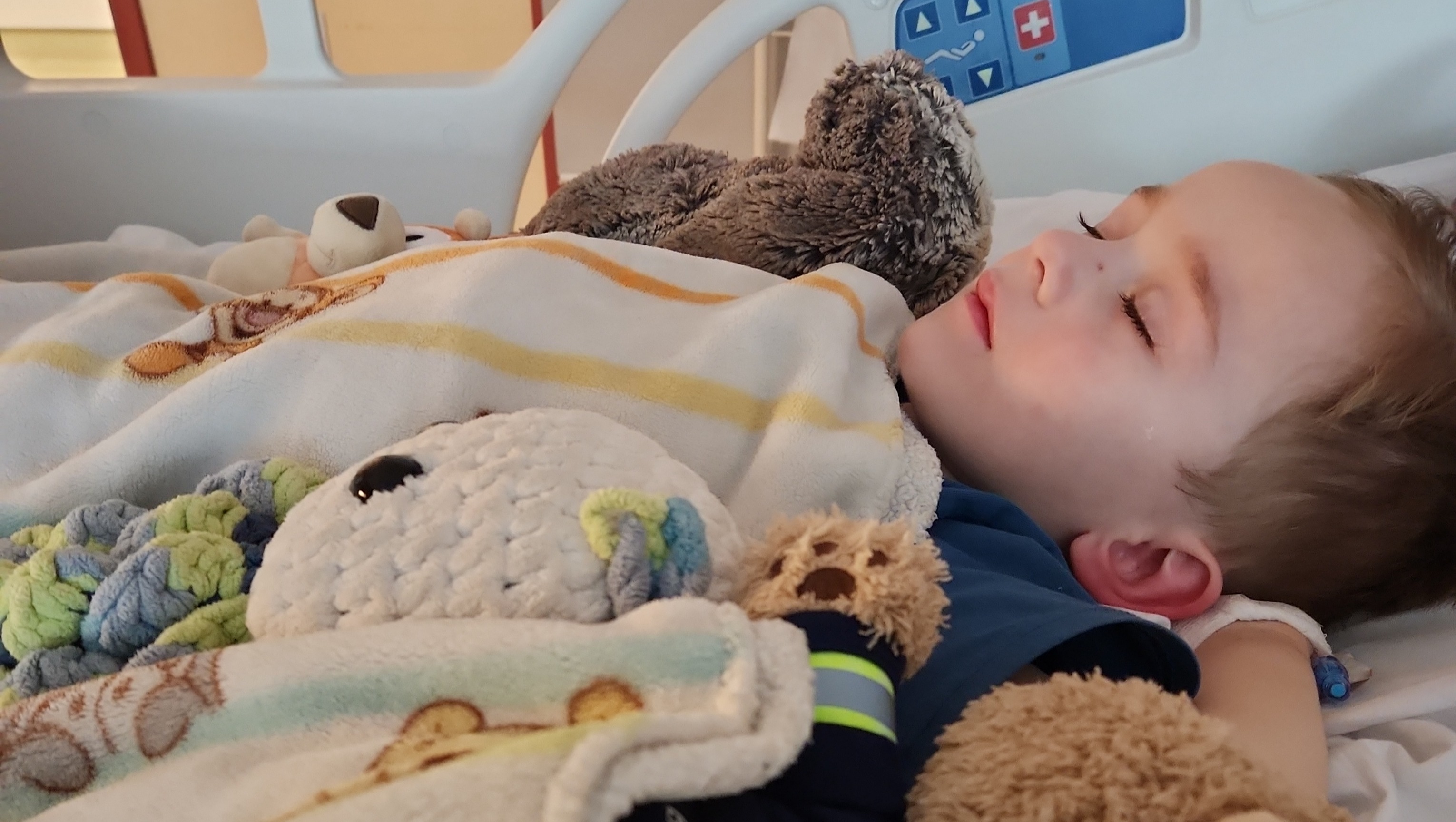 Fundraiser by Allison Moir : Finley's Recovery