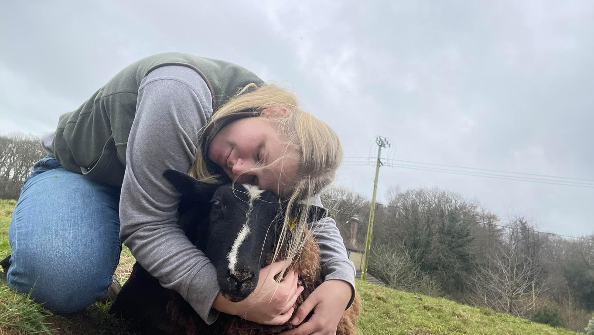 Fundraiser by Milly Collins : Bramble Vet bills after RSPCA , DEFRA ...