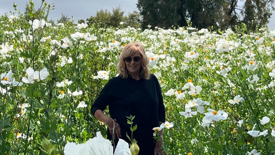 Fundraiser by Dani Connolly : Help Support Debbie During Her Cancer Battle