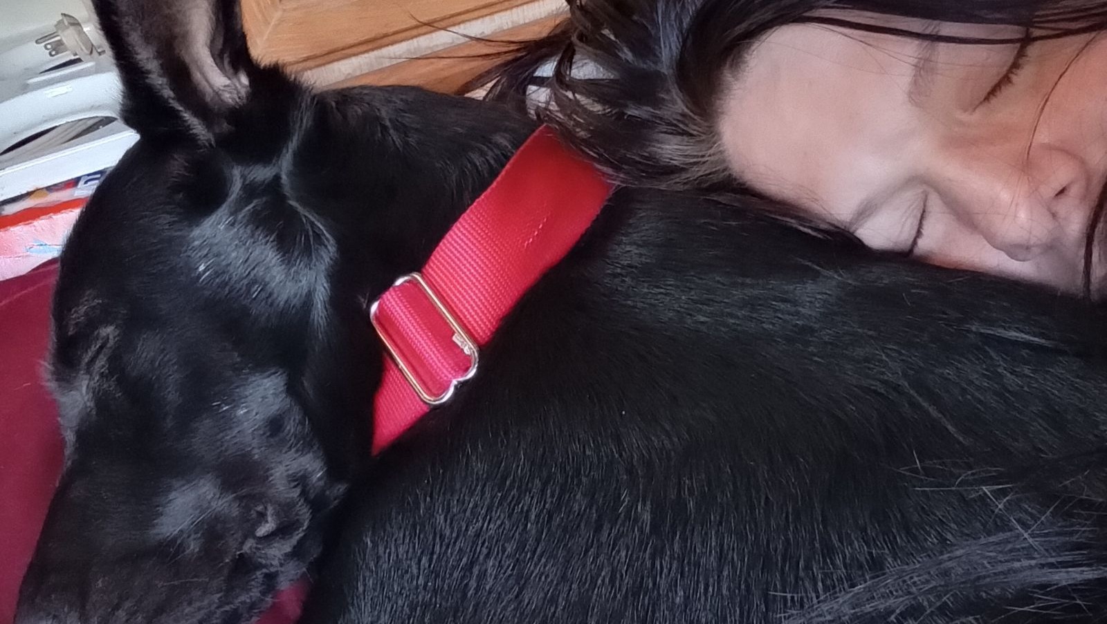 Fundraiser for Reuben Nisenfeld by Lesley Harper : Help Jane Secure a ...