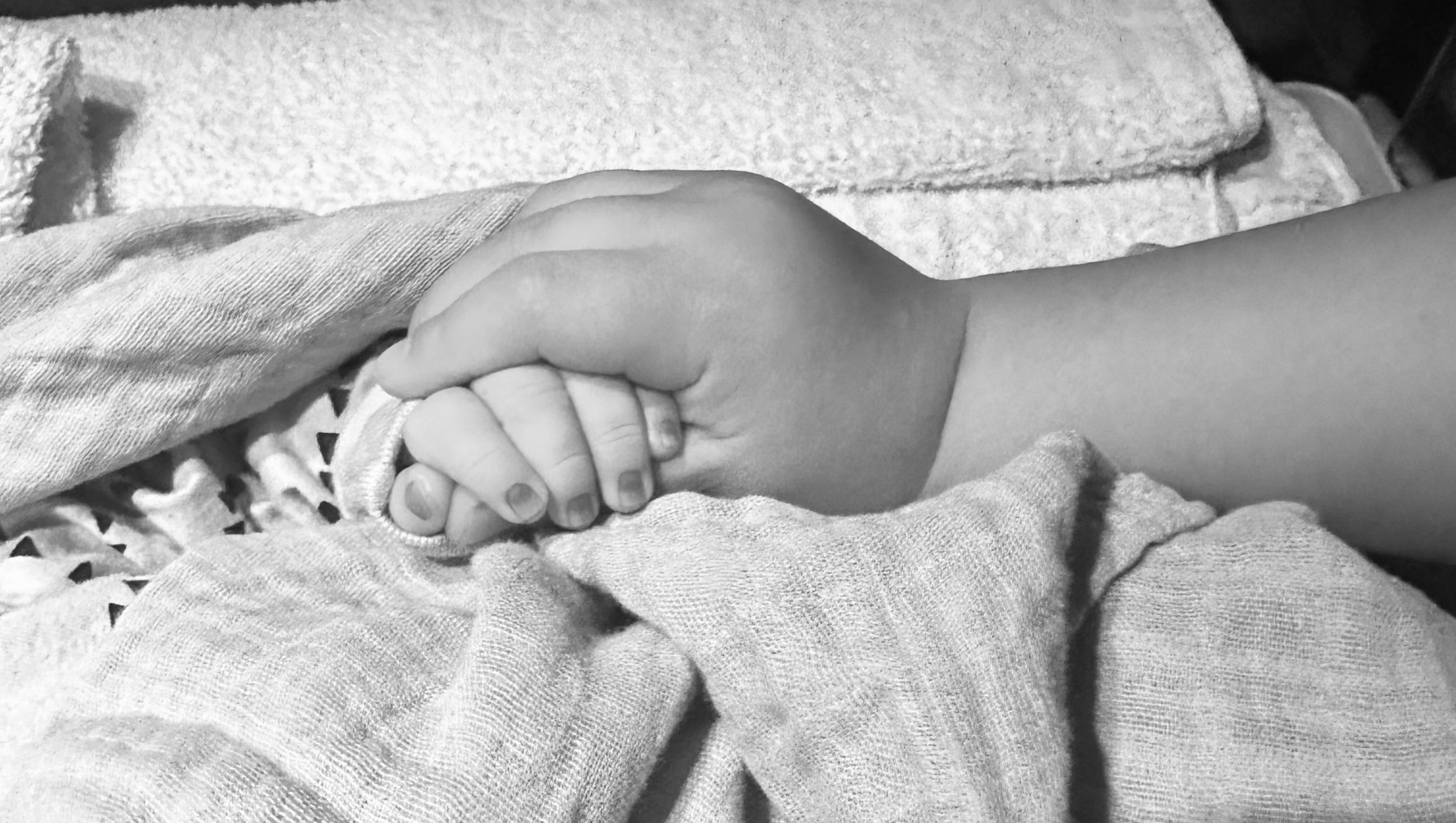 Fundraiser for Bailey Burks by Zoey Starika : grieve the loss of Bailey ...