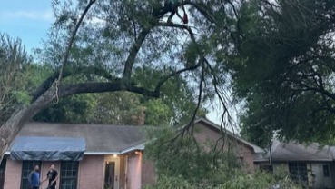 Fundraiser by Rita Martin : Help Maria Rebuild After Storm Damage