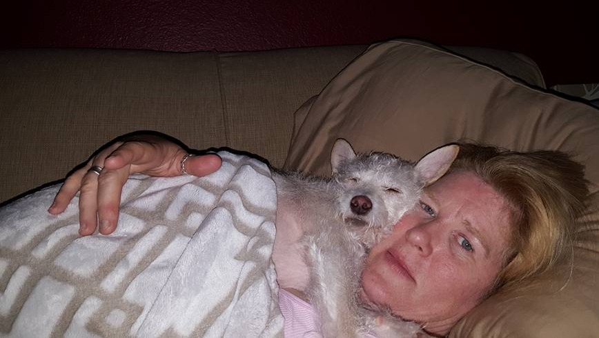 Fundraiser for Carol Pritchard by Amelia Keene : Support for Carol's ...