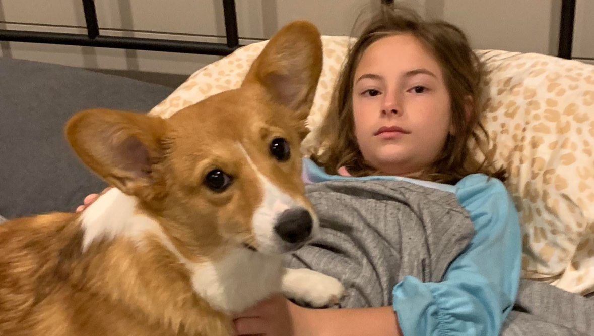 Fundraiser by Amber Pinkey : Help Mango Fight Lymphoma