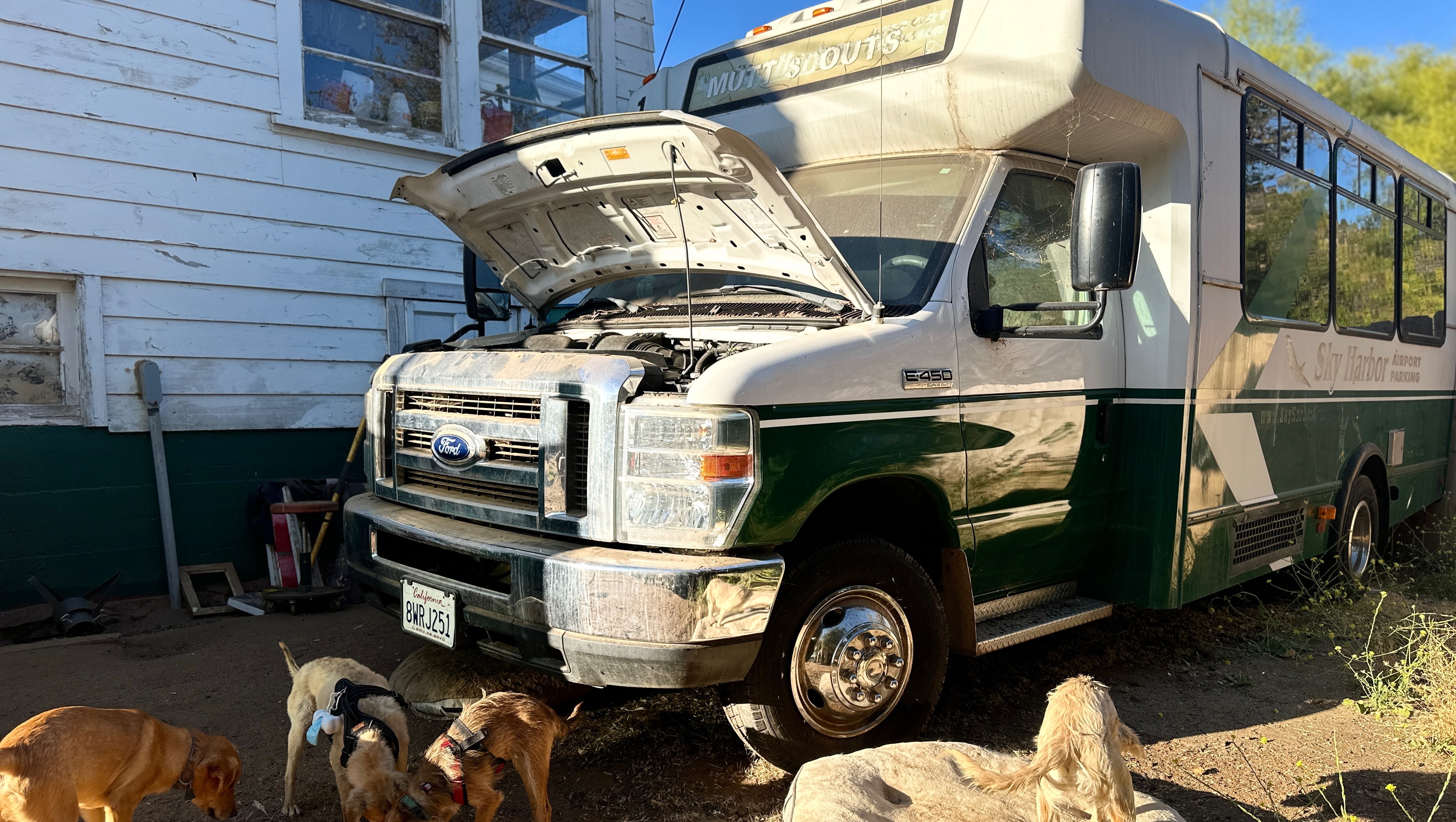 Fundraiser by Nicole Audet : Help Mutt Scouts buy a new dog transport bus