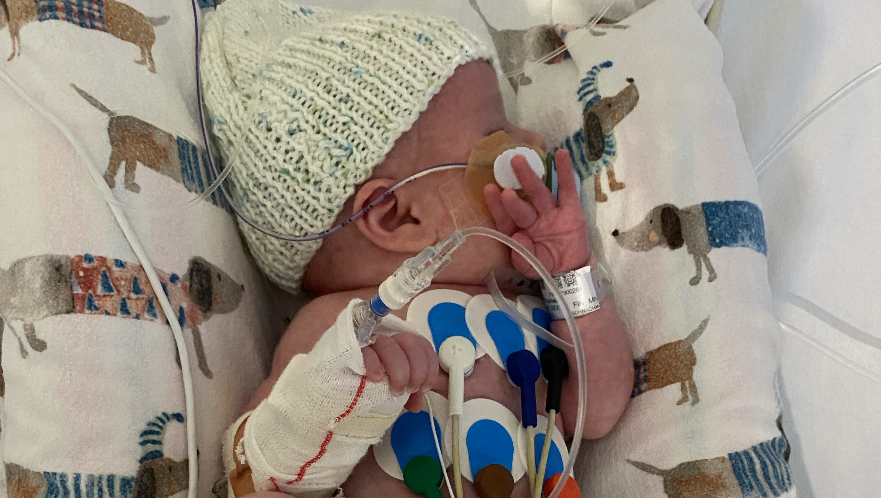 Fundraiser by Roslyn Jensen : Elijah and Isaac