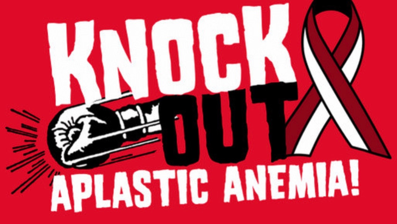 Fundraiser by Her anon : Join her battle against aplastic anemia