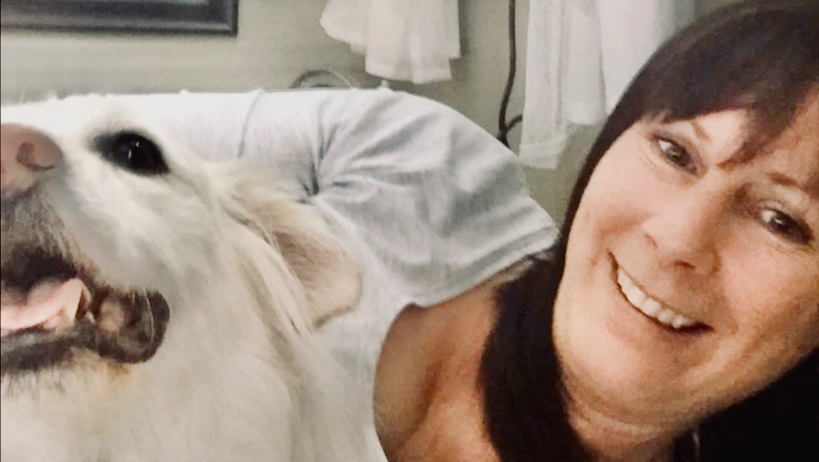 Fundraiser for Sandra Forgues by Harvey Winks : Help Sandra to recover ...