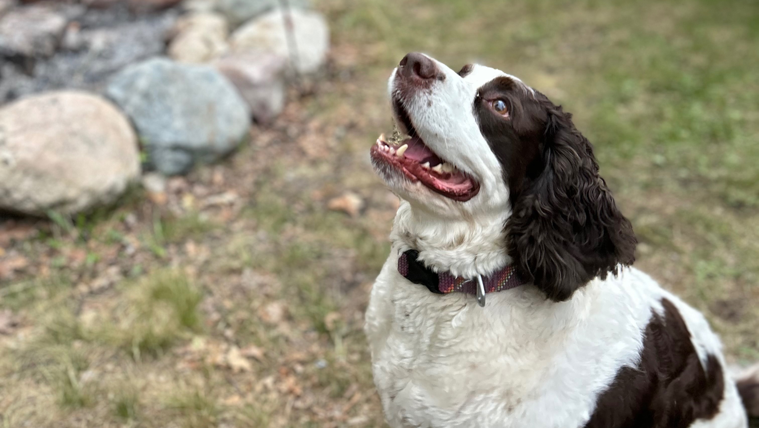 Fundraiser for Olivia Boylan by Megan Boylan : Support Alice's ...