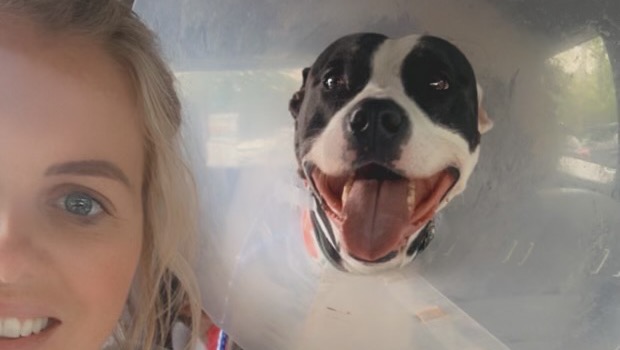 Fundraiser for Chelsea Gatterman Graf by Carly McReynolds : Donate for ...