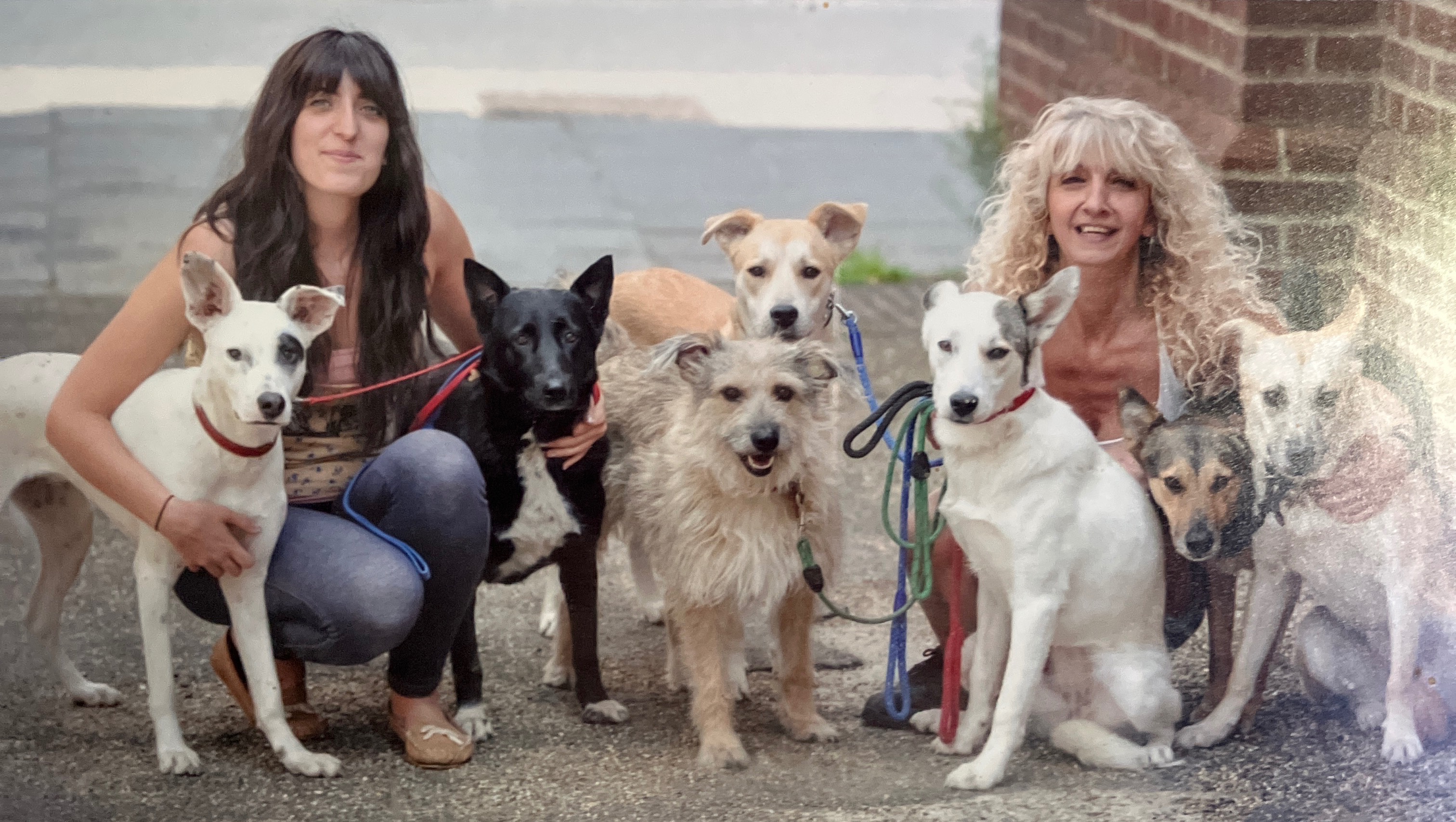 Fundraiser by Hessa Riddett : Help needed