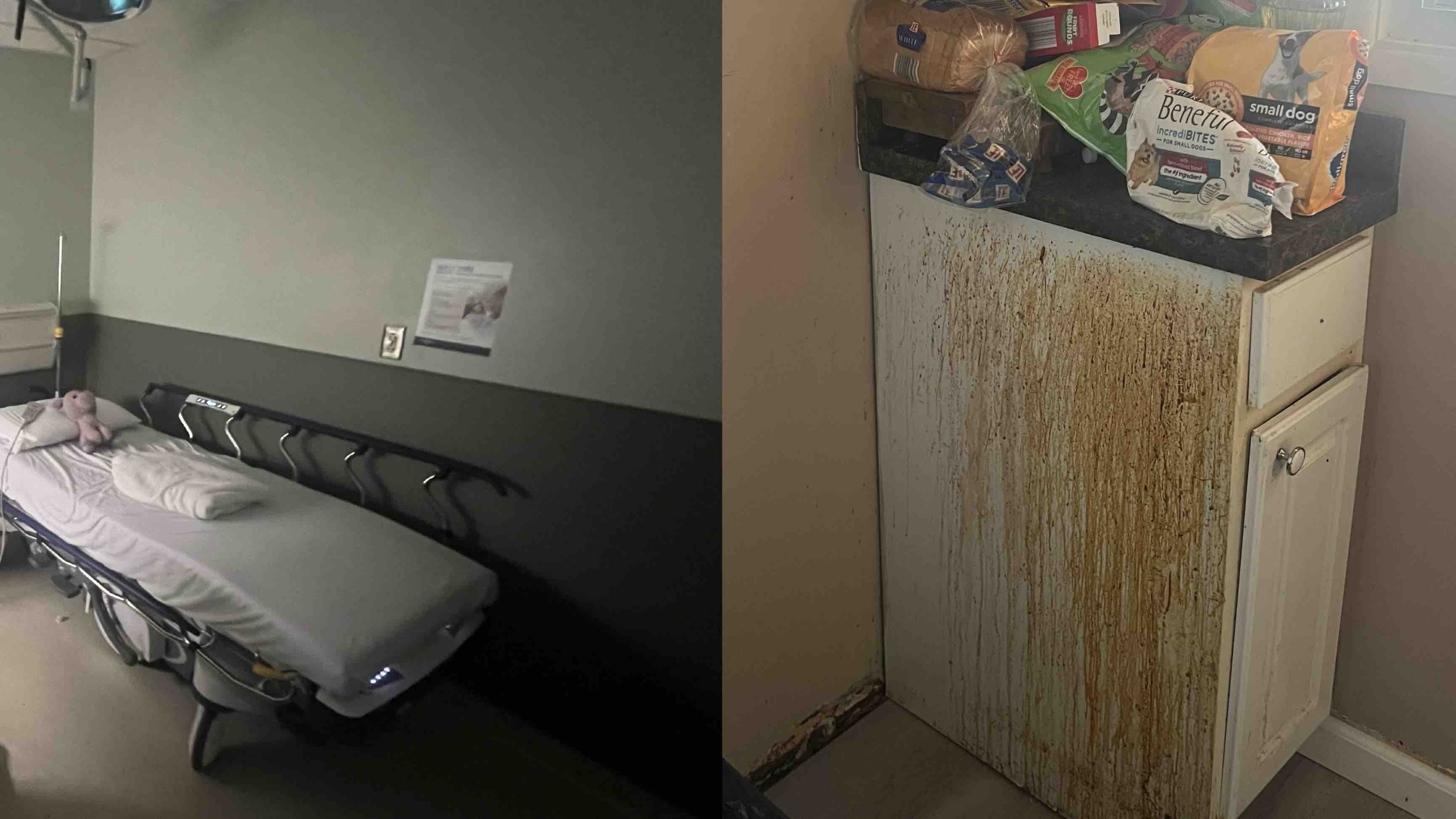 Fundraiser by Susan Elaine Bruwier : (CLOSED)Help us get an Attorney to ...