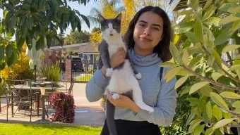 Fundraiser by Luis Villalta : Remembering Evelyn: A Battle Lost to Ovarian Cancer