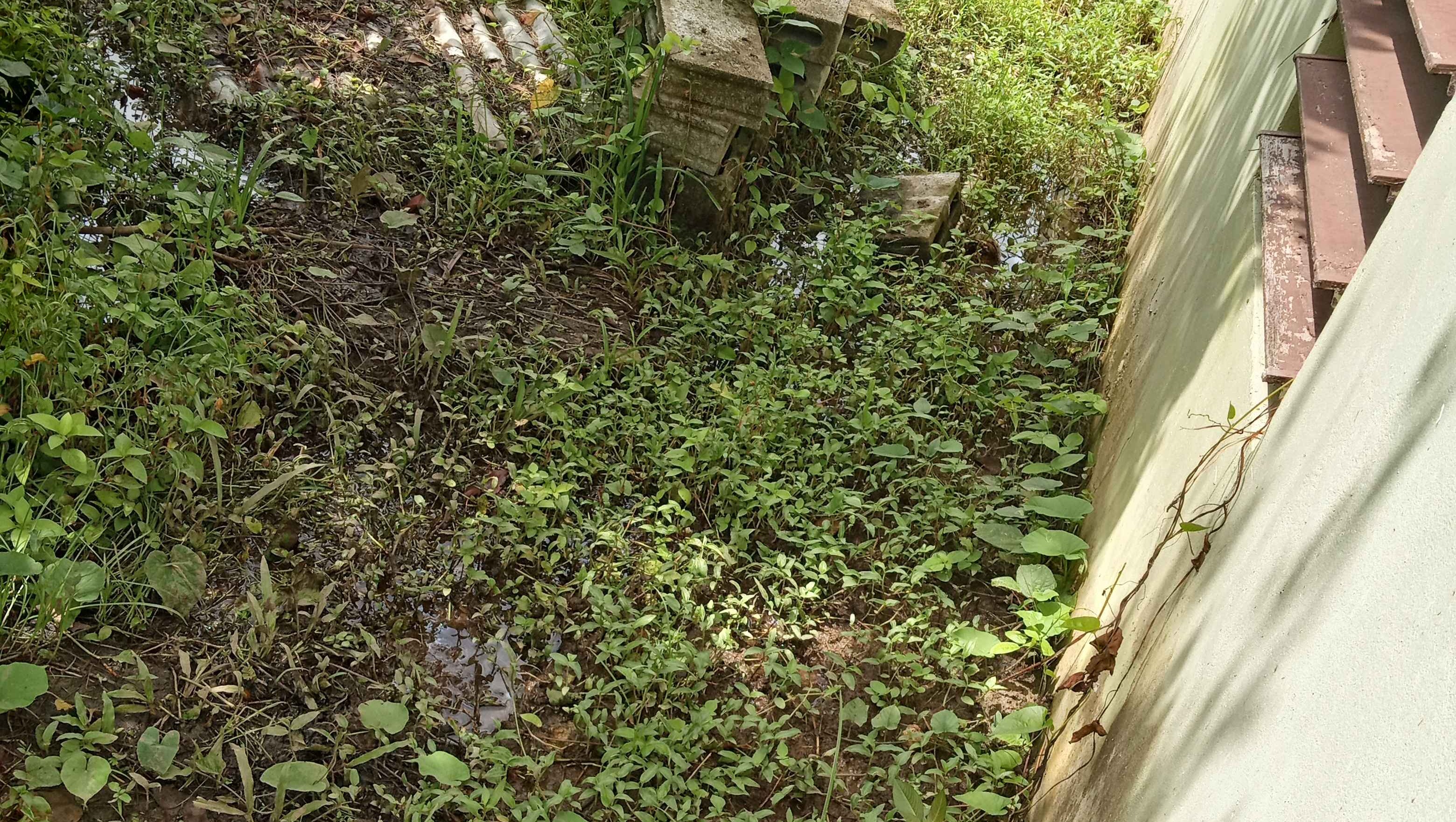 Fundraiser by Rhett Ploeger : Kaiser Family House In Need of Major Repairs