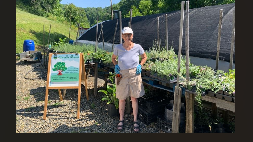 Fundraiser for Catherine Classen by Jasmine Gomez : Stand with ...