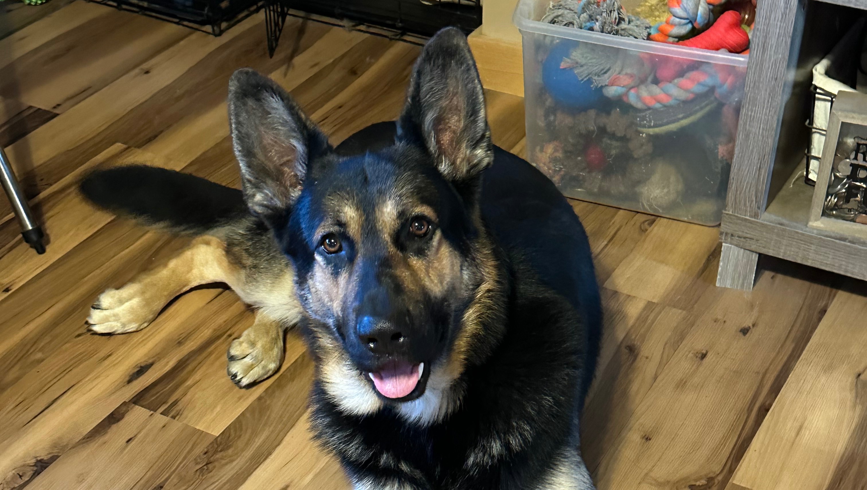 Fundraiser by Sarah Strout : Help Axell's Journey to Recovery