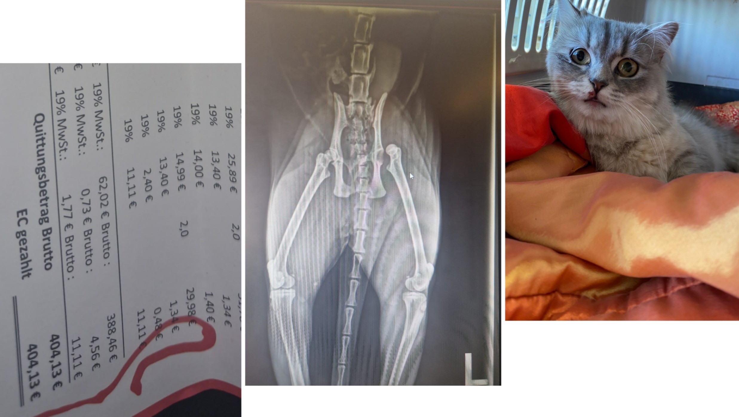 Fundraiser by Nicole Rasa : Operation unserer kleinen Maus