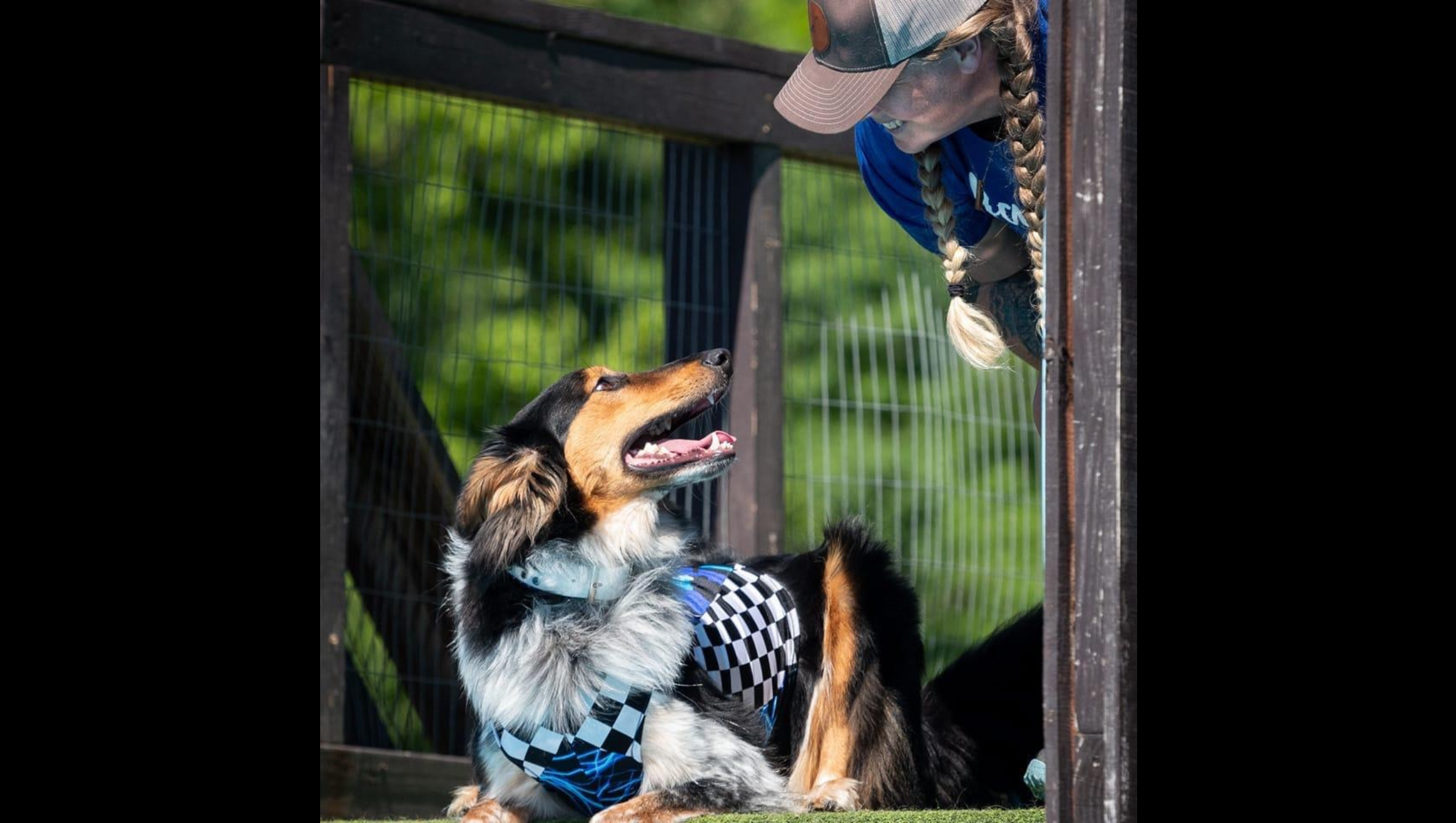 Fundraiser for Kristin Kay by Danielle Reno : Quest Needs Our Help!