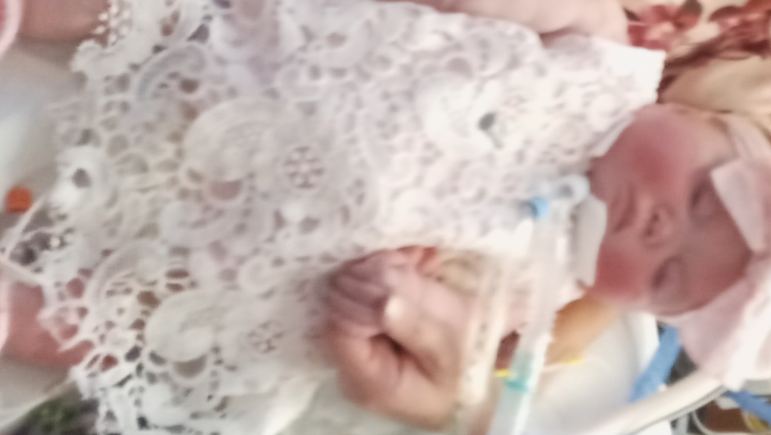 Cagnottes organisées par Sarah Matocha : In Memory of Isabella: Support ...