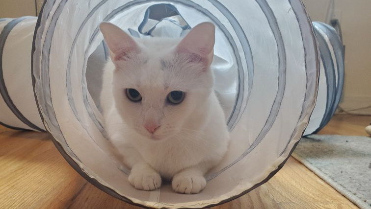 Fundraiser for Travis Sweatte by Laura Hosek : Help Travis Save His ...