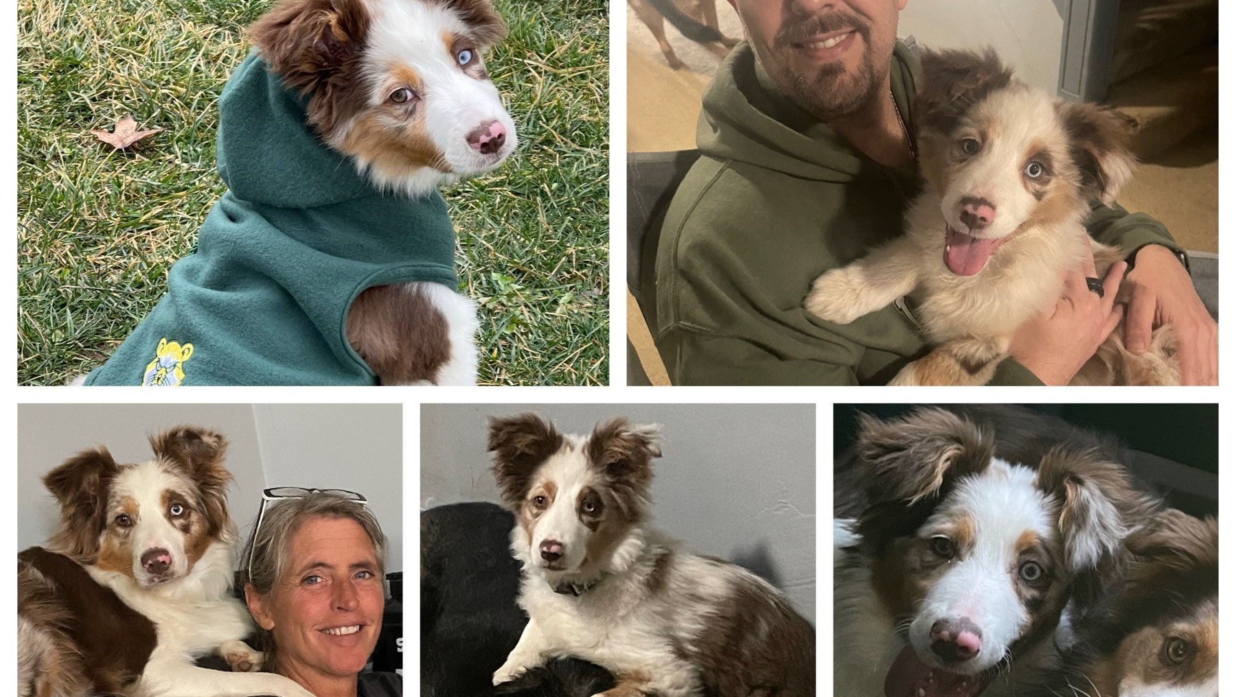 Fundraiser for Adam Bricker by Melissa Hernandez Canada : Help For Mya ...