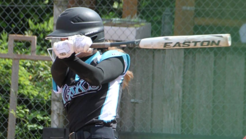 Fundraiser by Ivonne Gehle : Neuer Schläger für das Softball Team der Yaks